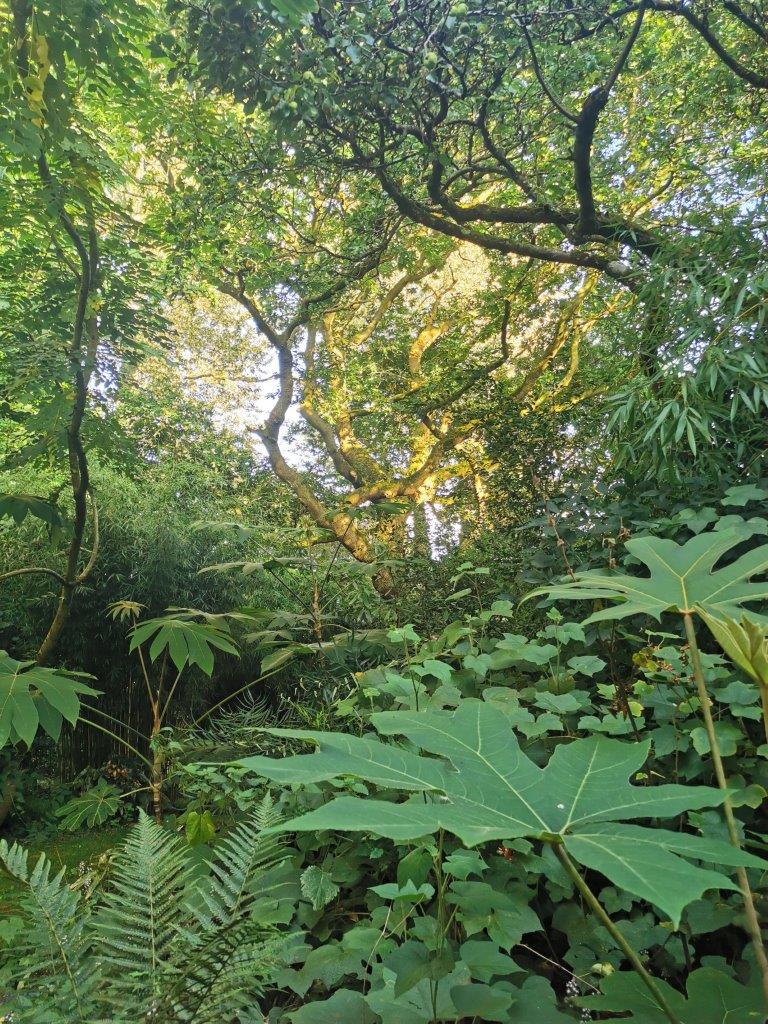 Pépinière Vert'Tige - Les Botaniques de Varengeville