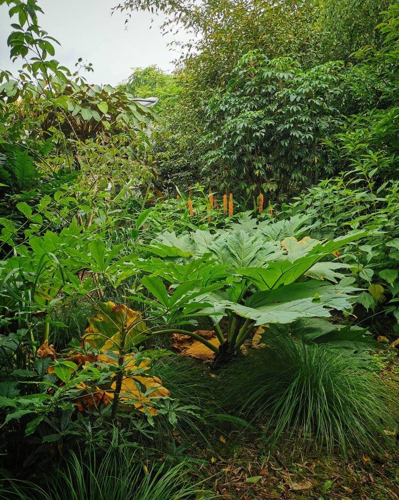 Pépinière Vert'Tige - Les Botaniques de Varengeville